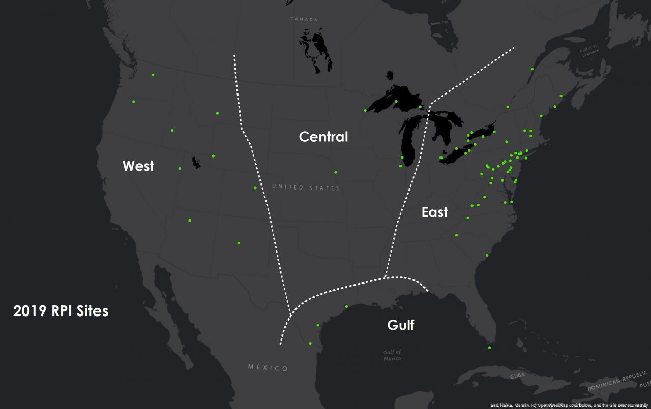 Taking the pulse of North America’s raptors - Birds Canada | Oiseaux Canada
