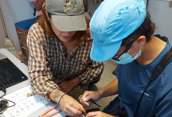 The return of Long Point Bird Observatory’s Young Ornithologists ...