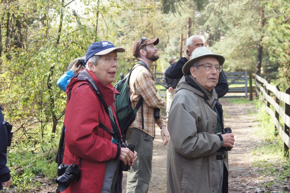 Bruce Falls, an enduring conservation legacy - Birds Canada | Oiseaux ...