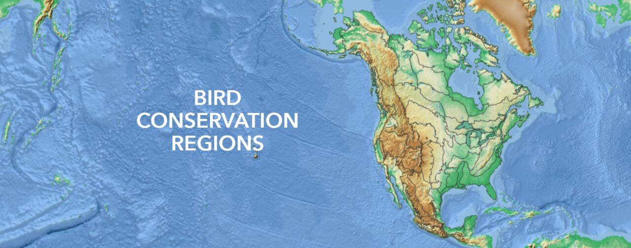 NABCI Bird Conservation Regions - Birds Canada | Oiseaux Canada