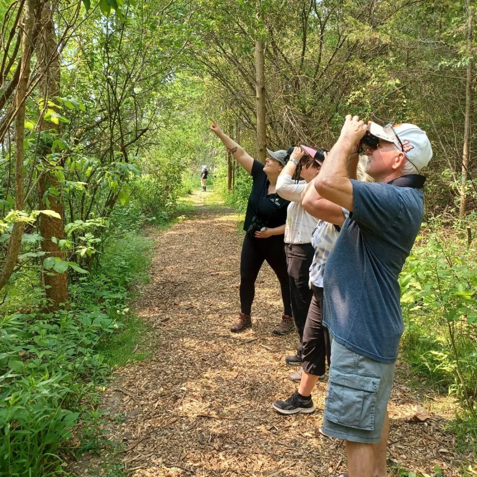 'Folk BIRDS' Outing in Norfolk - Birds Canada | Oiseaux Canada