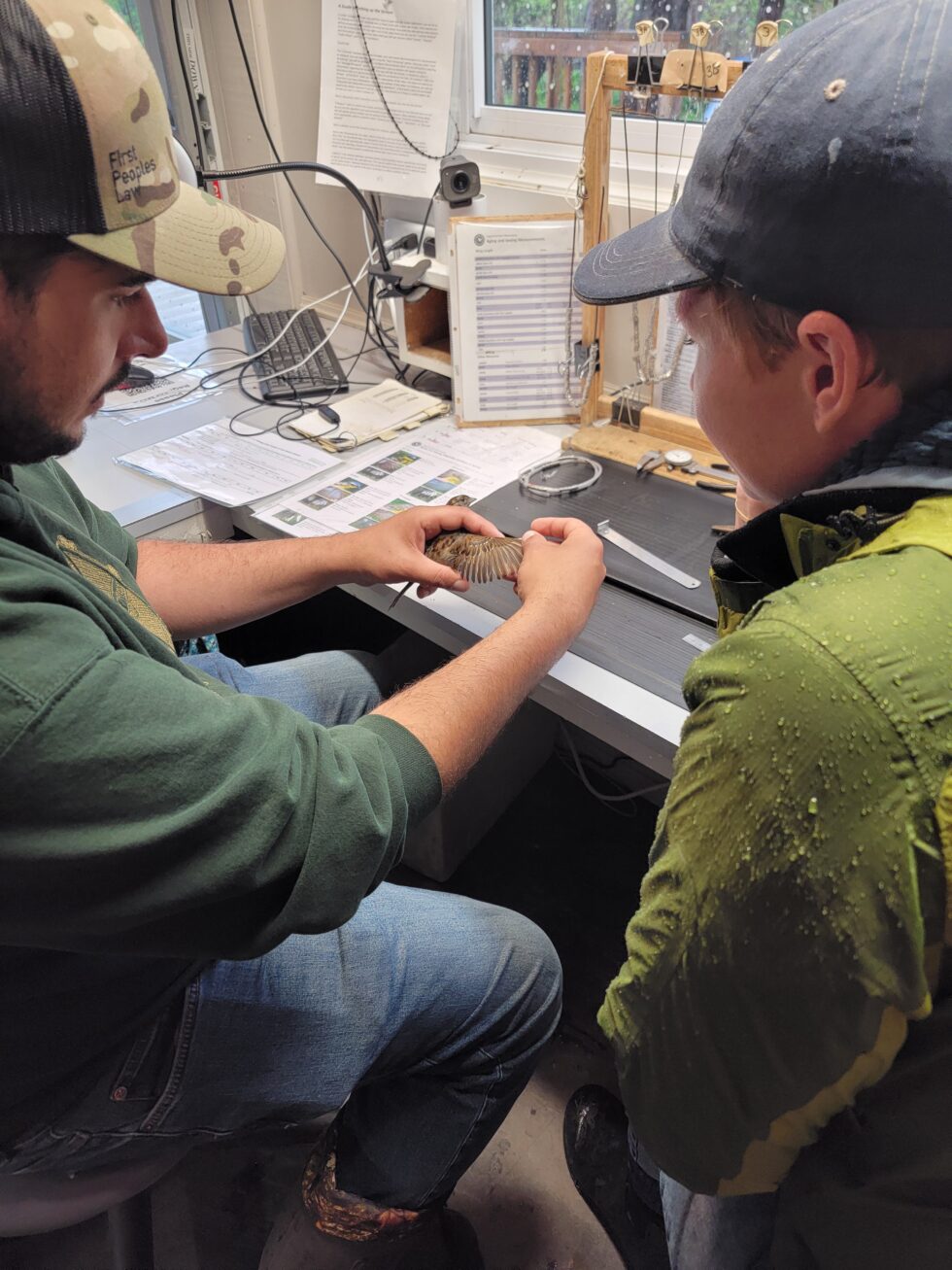 Timiskaming First Nation and Birds Canada: A Relationship Taking Flight ...